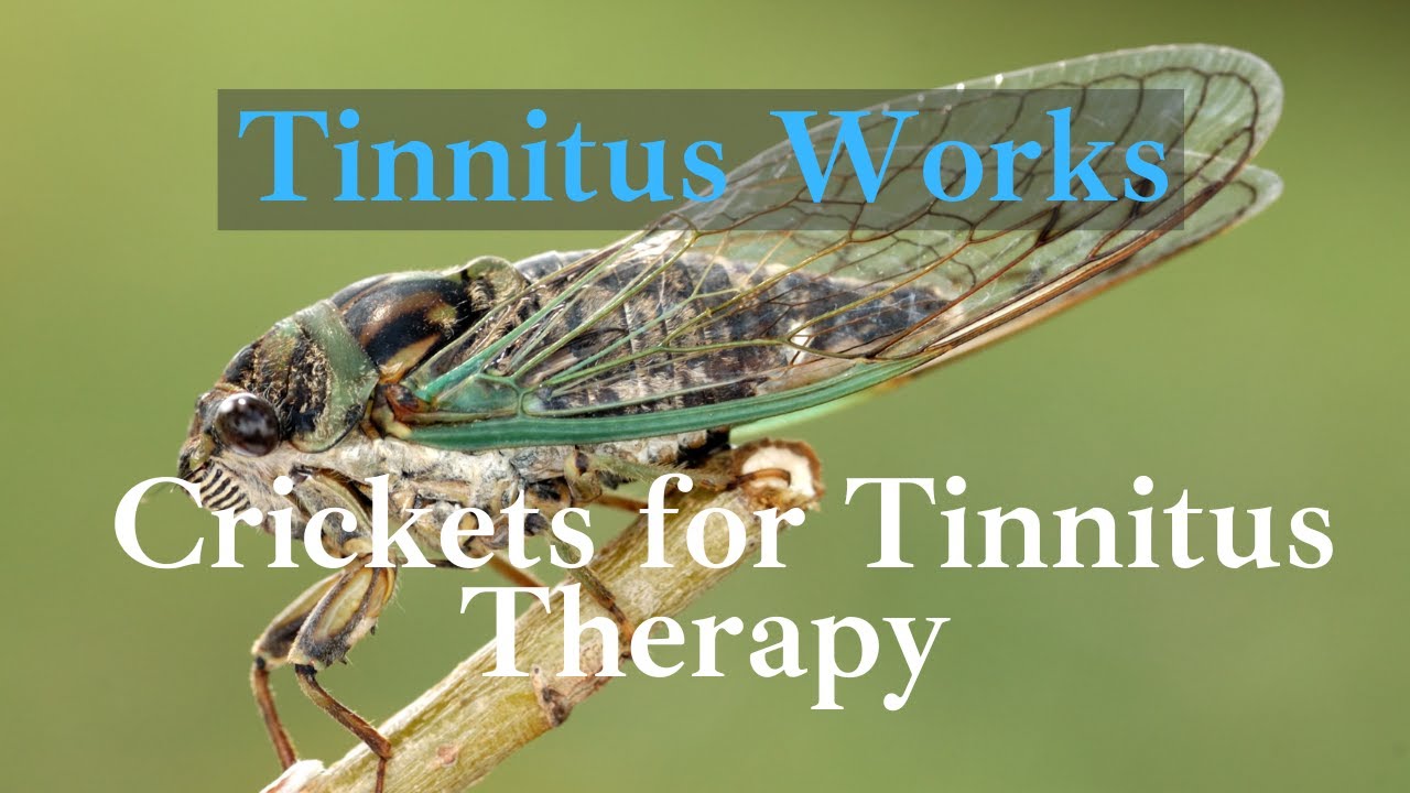 Tinnitus Cricket Sound Solution Therapy - YouTube