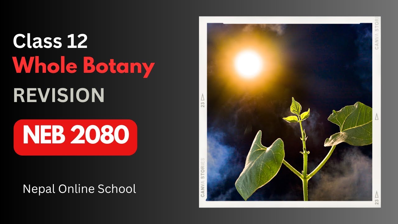 Whole Botany Revision | Class 12 Biology Exam Preparation | NEB - YouTube
