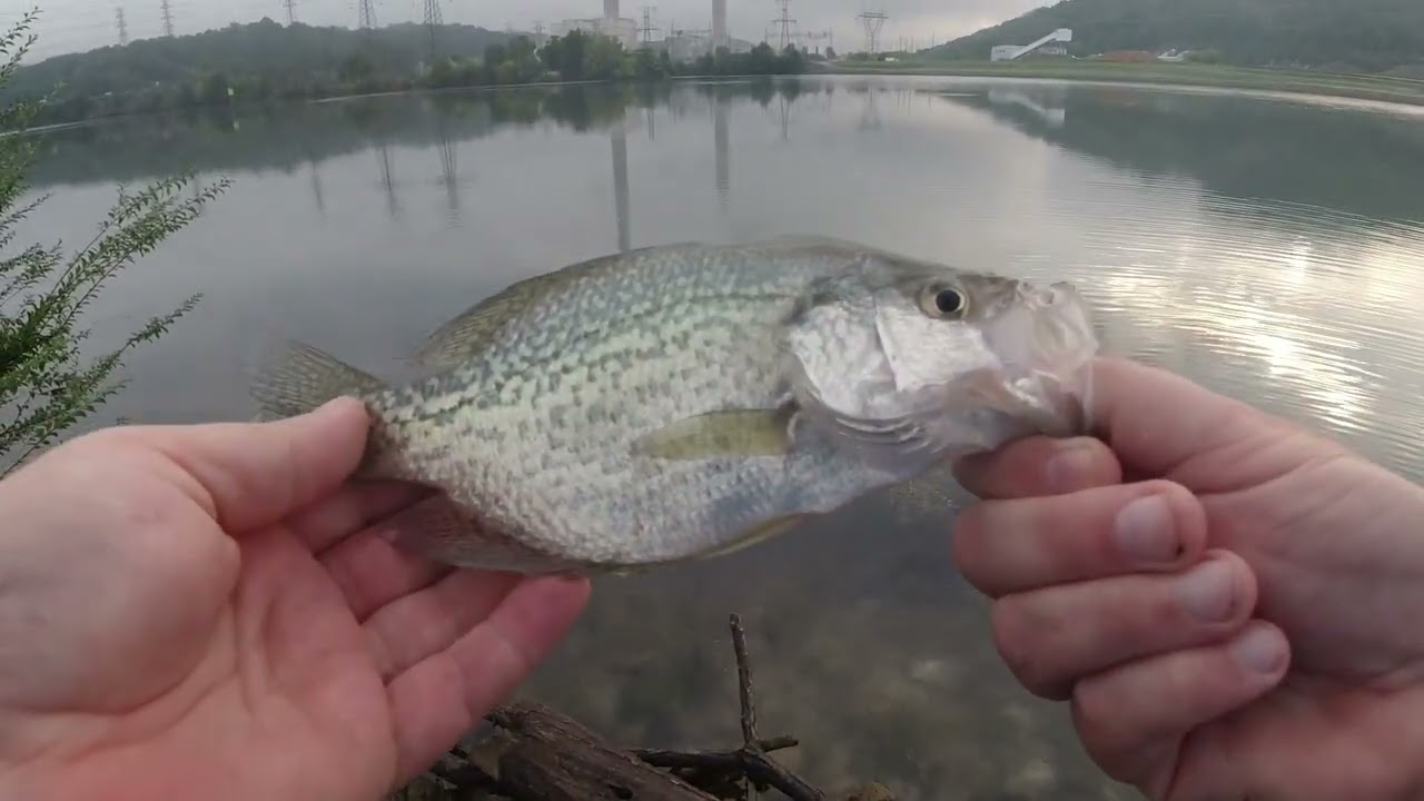 East TN bank Fishing Skipjack Bass Crappie White bass - YouTube