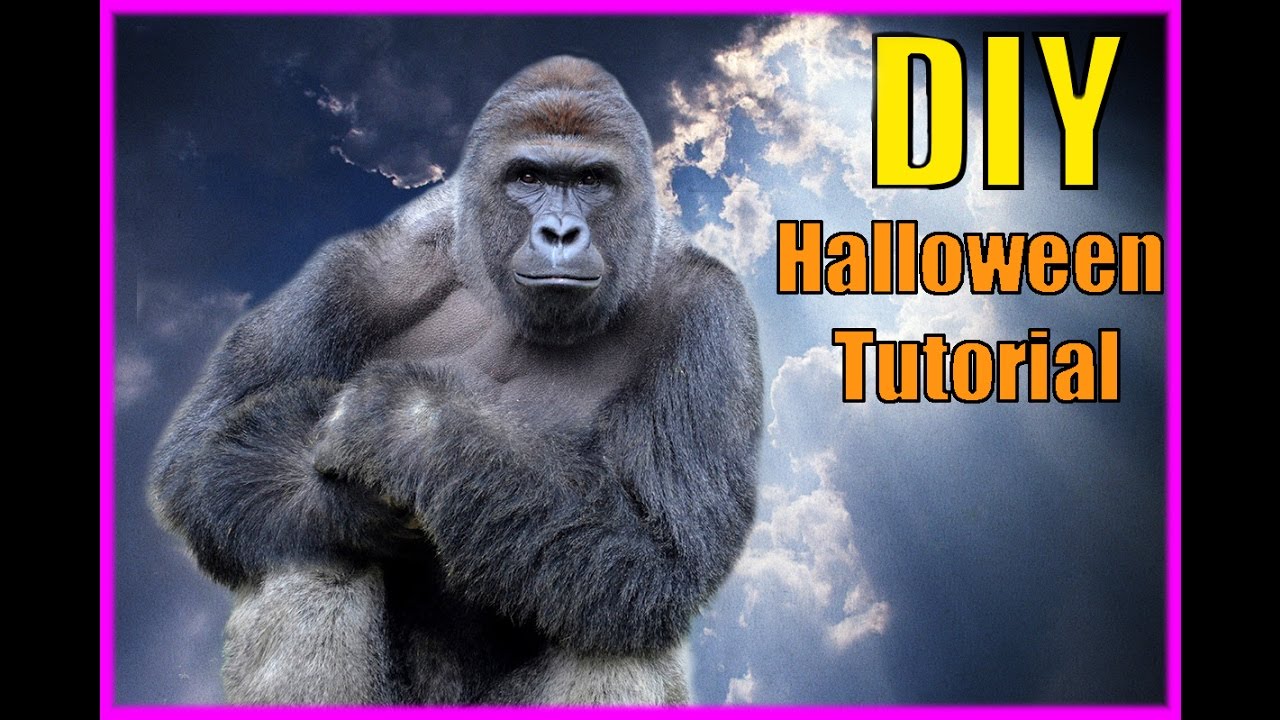 DIY Harambe Halloween Costume! - YouTube