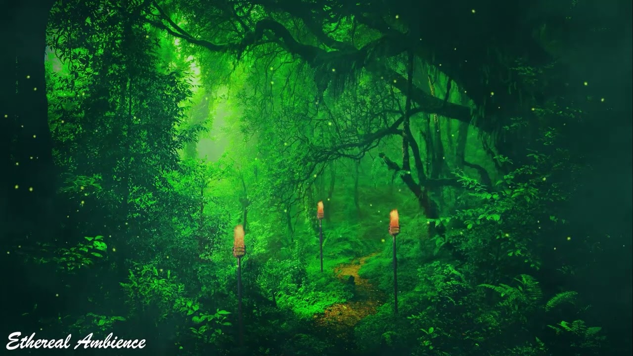 Secret Passage In The Witchy Forest, Forest Ambience, Fantasy Forest ...