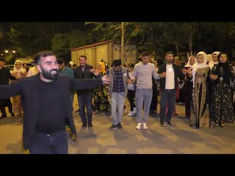 İzol Ailesi kına gecesi