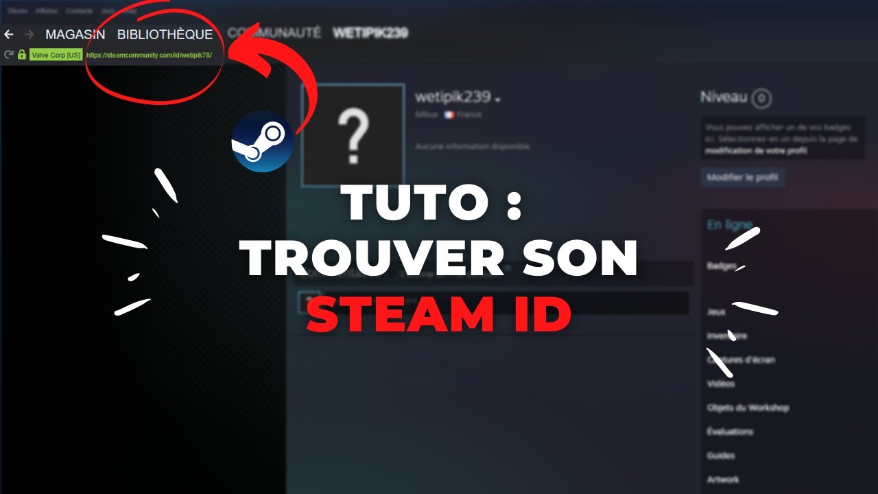 Tuto : Comment trouver son SteamID ? - YouTube