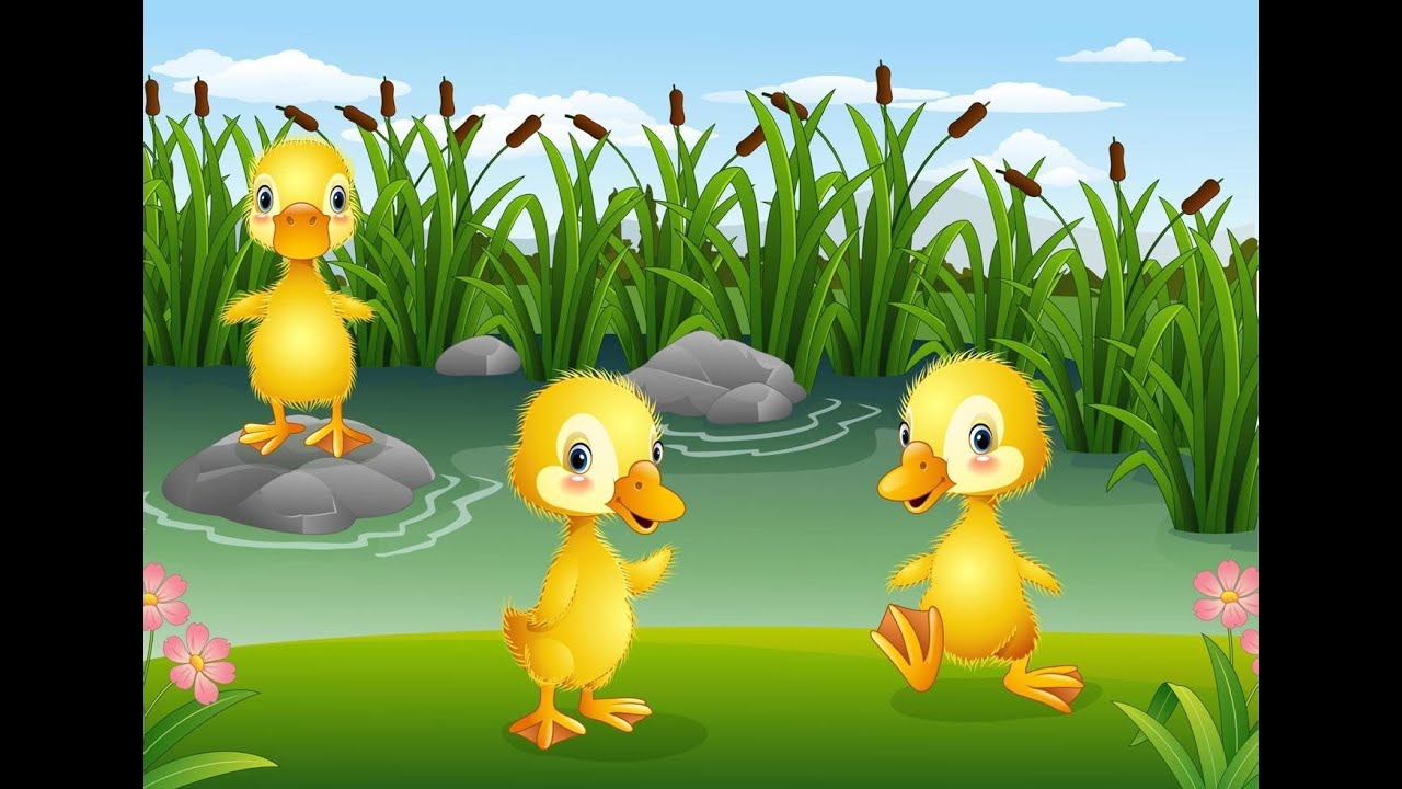 Los Tres Patitos Animales