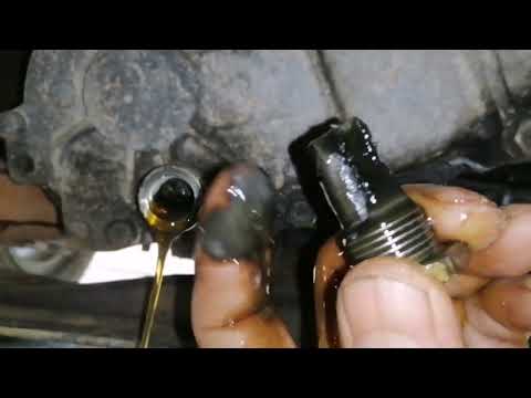 Tukar minyak gearbox 4x4