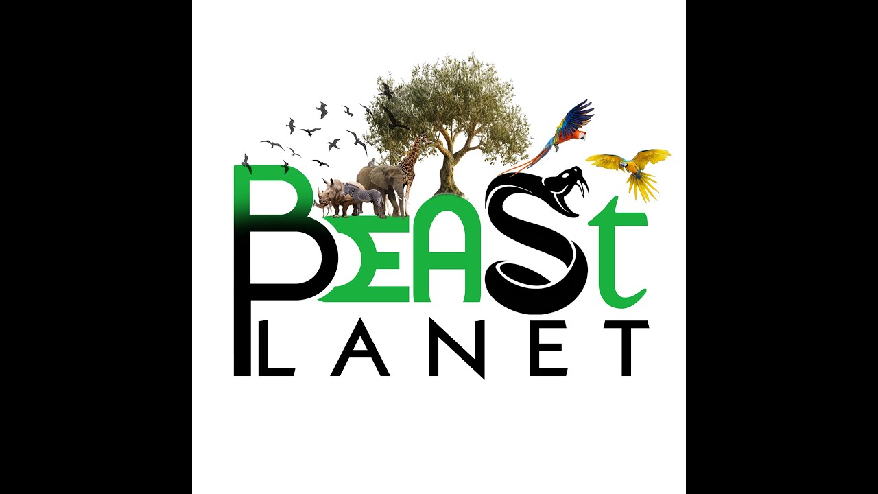 Welcome To Beast Planet #beastplanet #animal #earth #ocean #wildlife # ...