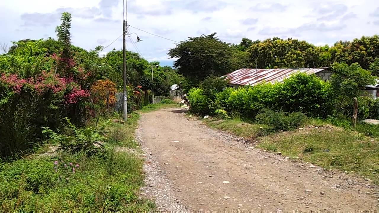 Mula pinta Criadero El C2 3506742561 - YouTube