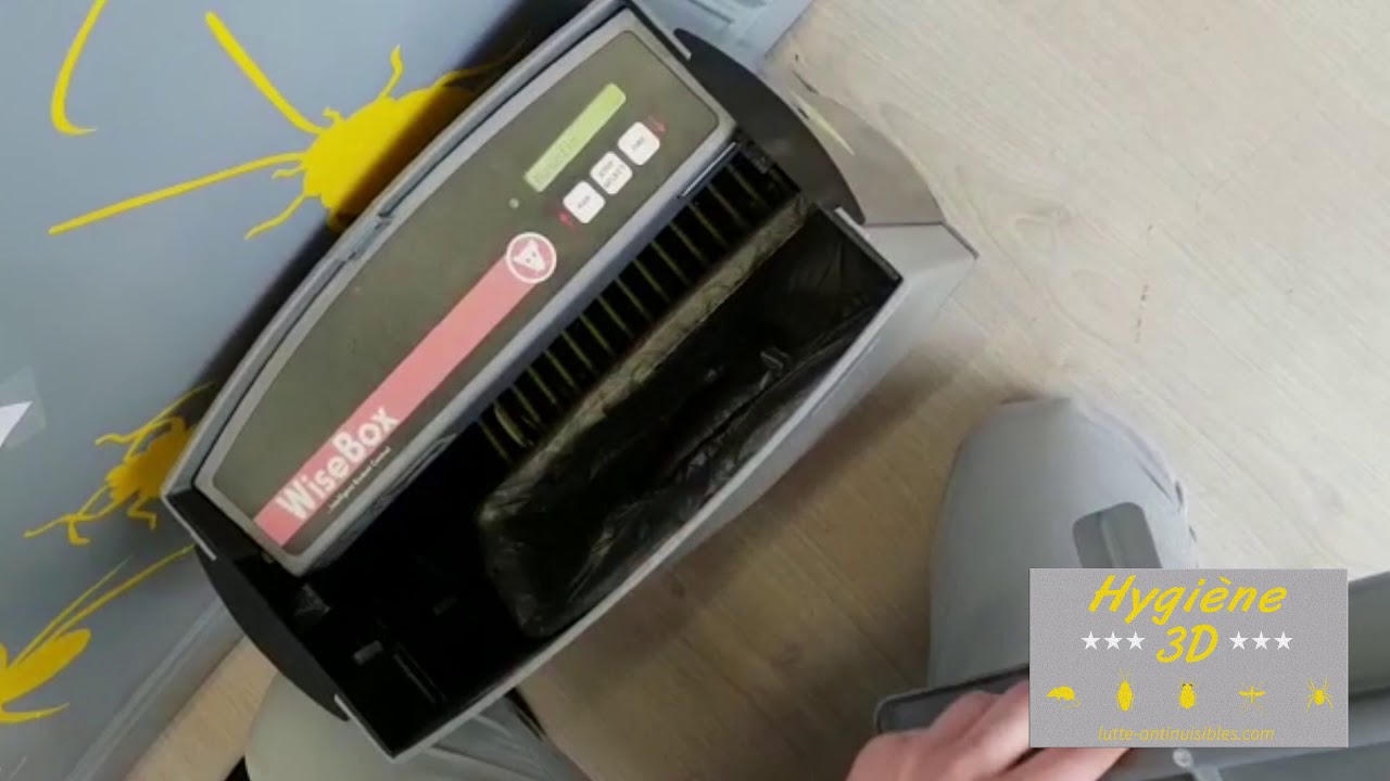 WiseBox | Piège Anti Souris Wisebox | Paris | IDF - YouTube