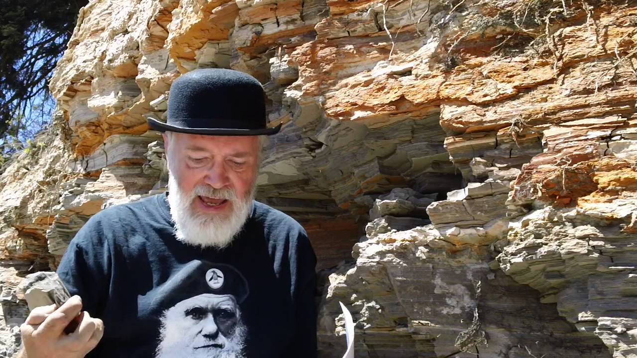 Darwin and the leaf fossil bonanza - YouTube