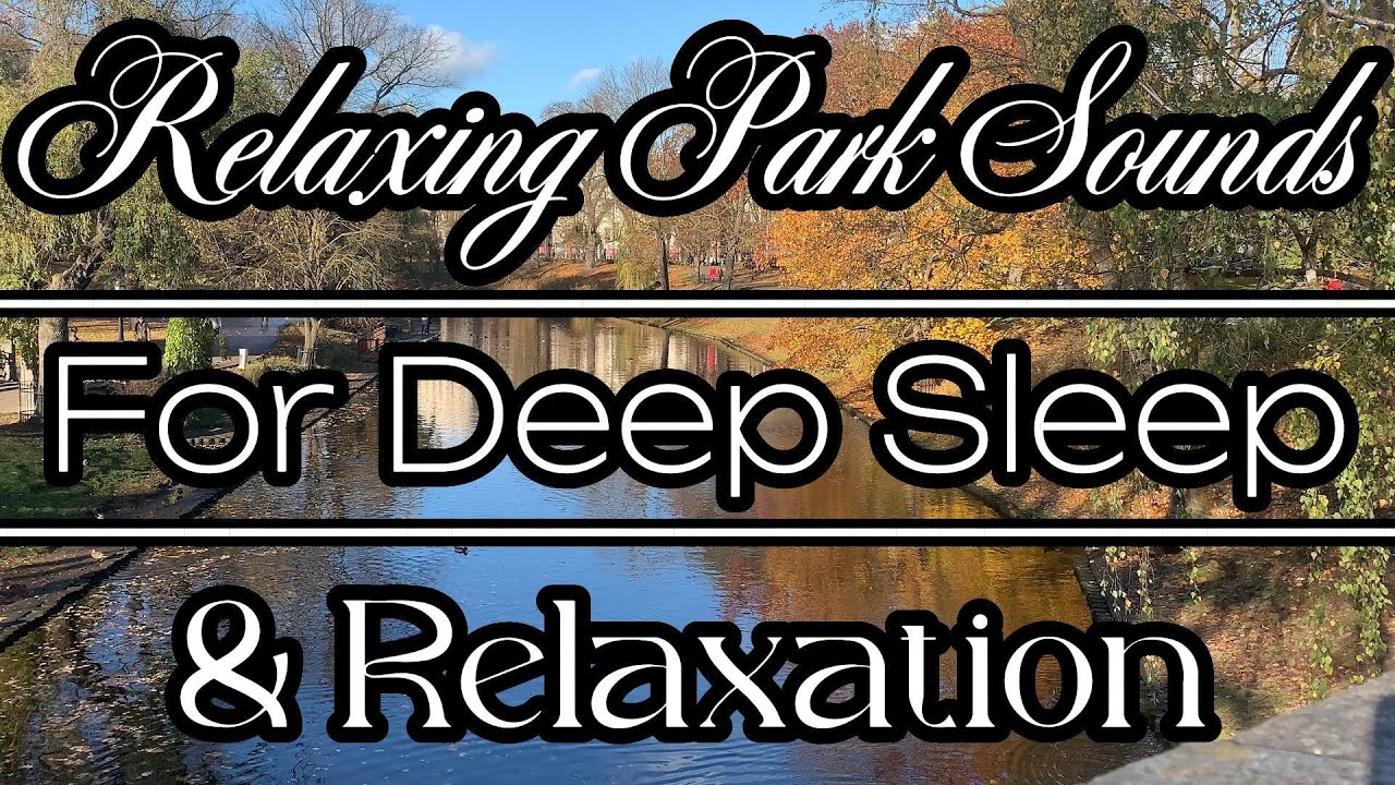 Relaxing Park Sounds For Deep Sleep & Relaxation💤💤😴 - YouTube