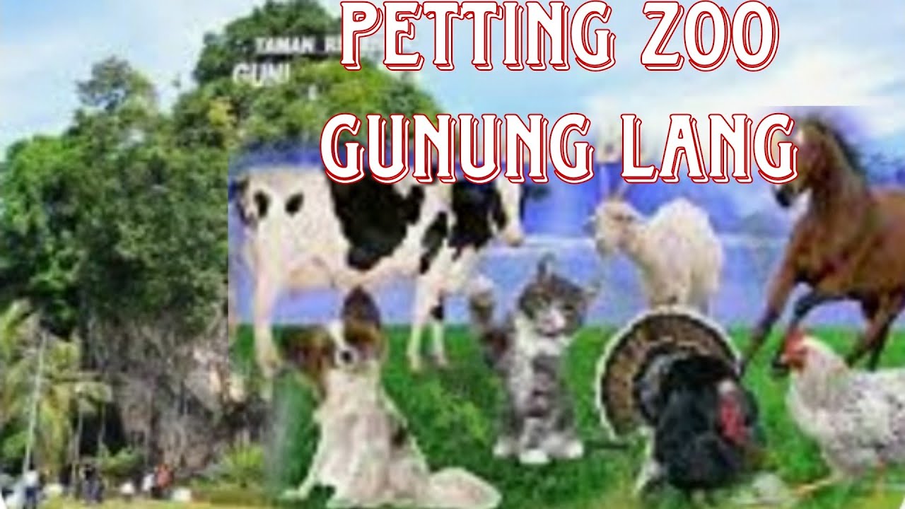 FruitChild@ pavilion petting zoo, gunung lang ipoh, perak - YouTube