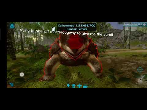never mess with the wise, or a panda will feast on your carcass - YouTube