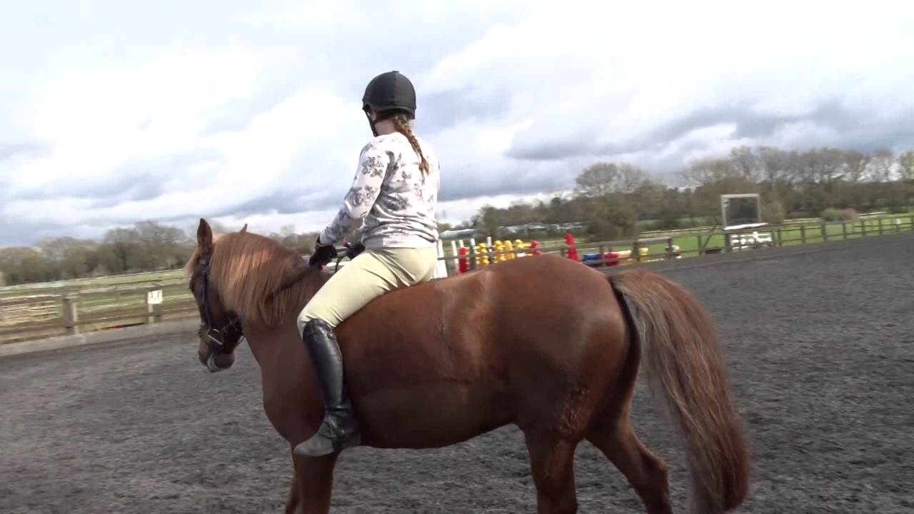 Unedited flatwork lesson with Storm - YouTube