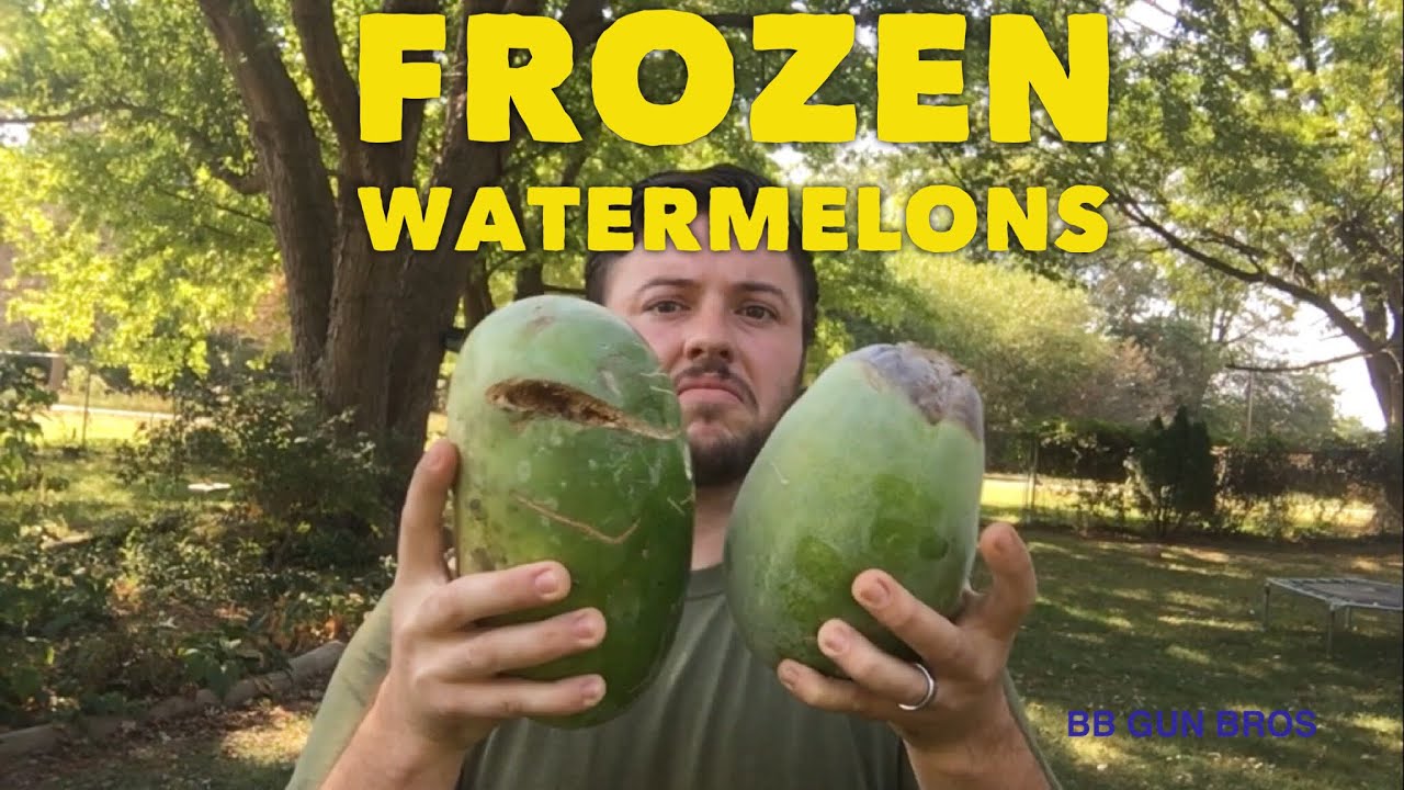Shooting Frozen Watermelon - YouTube