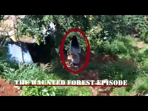 Real ghost activity in forest - MUST SEE The Haunting Video - YouTube