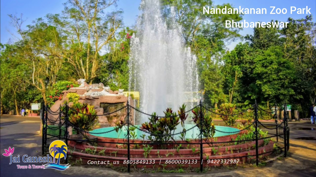 Nandan kanan zoological park | Bhubaneswar - YouTube