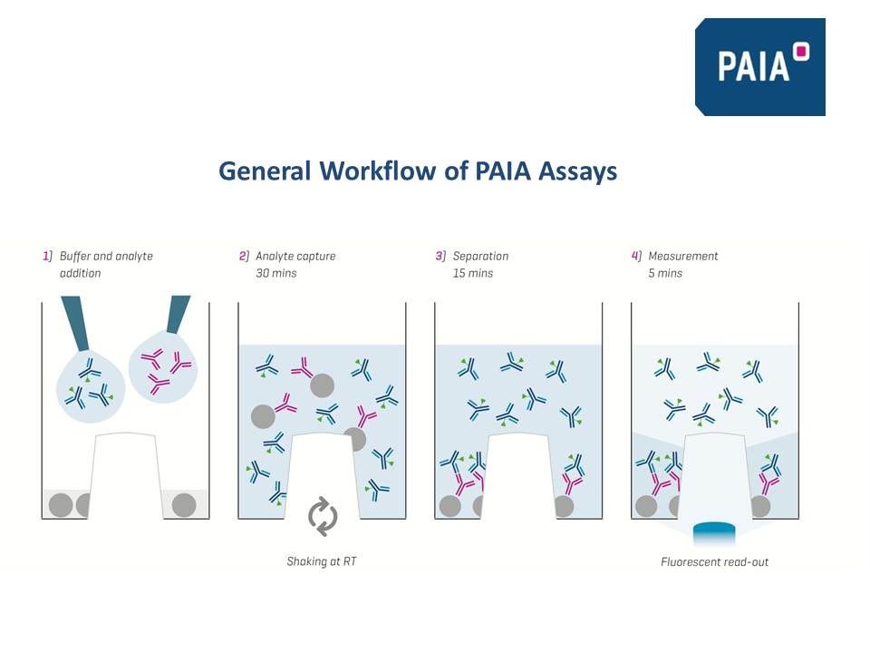 PAIA video tutorial - YouTube