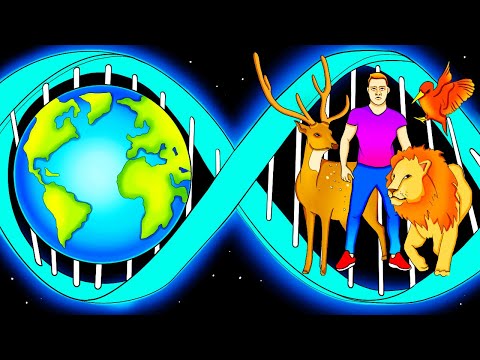 İnsanlar ve Hayvanlar Sonsuza Kadar Yaşasalardı Neler Olurdu?