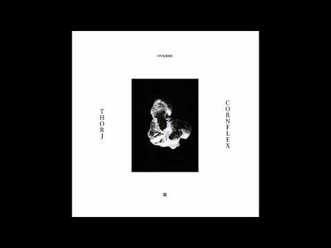 Thojr - Invisible Operator (Original Mix)