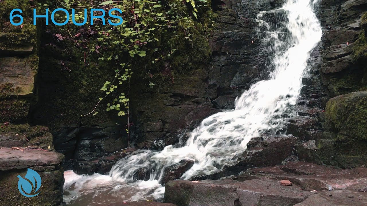 6 Hours of Relaxing Waterfall Greyfield Wood, Somerset, England - YouTube