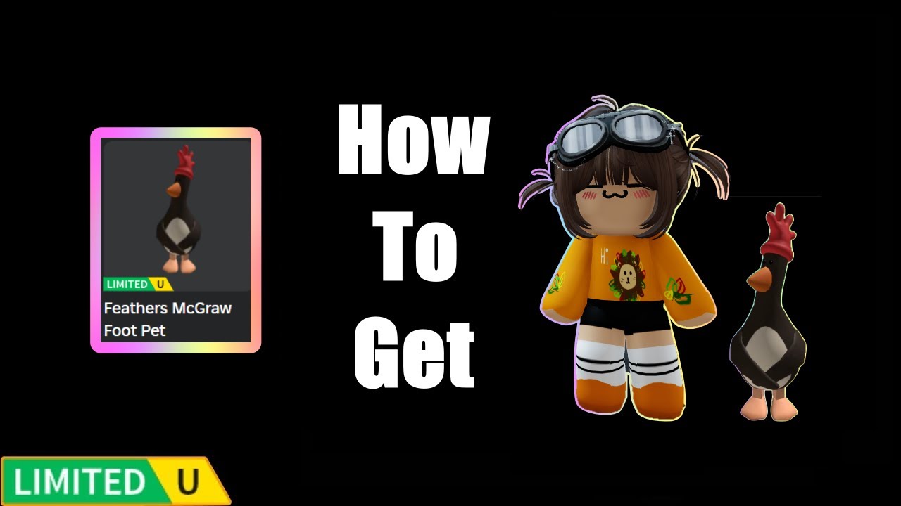Free Limited UGC - Feathers McGraw Foot Pet (finished🚫) - YouTube