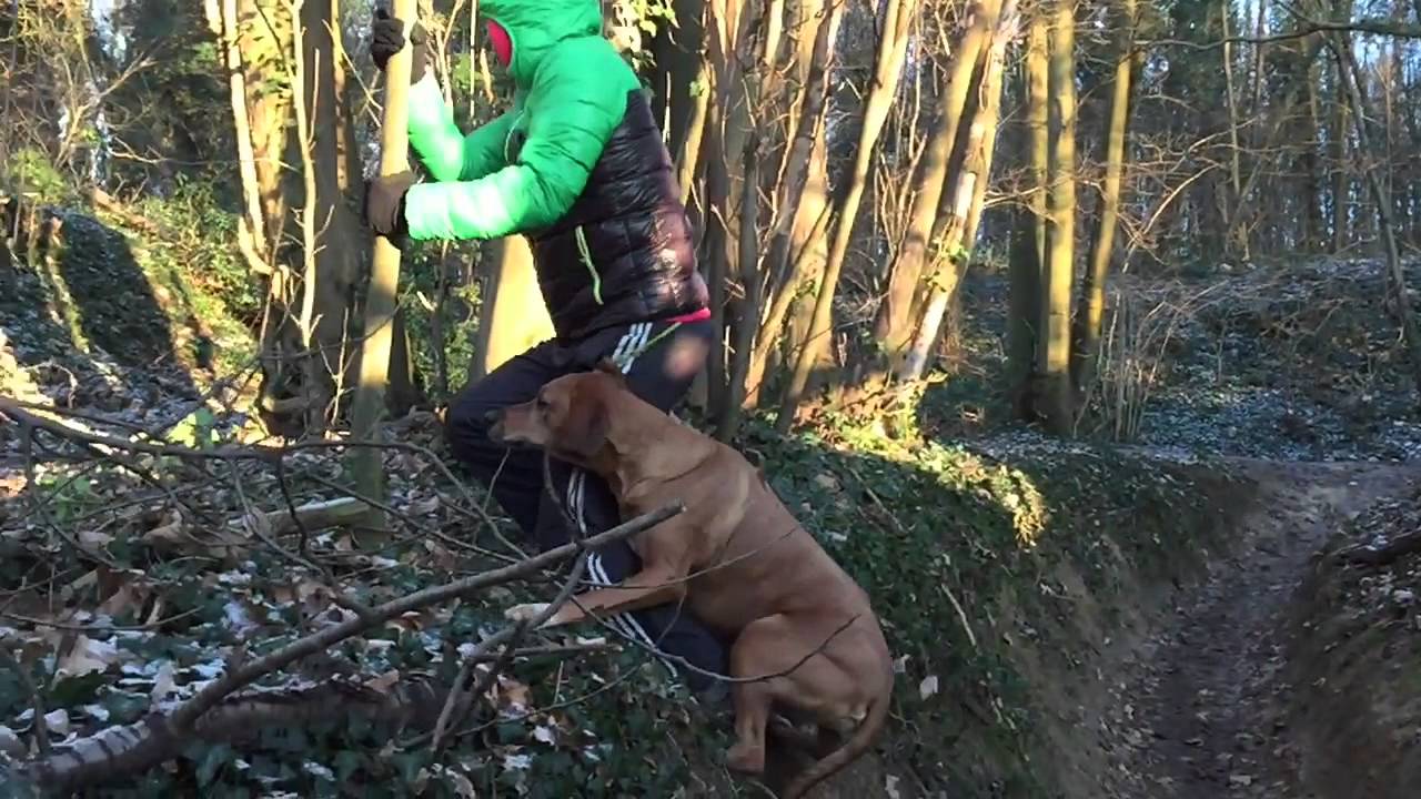 super Chub - YouTube