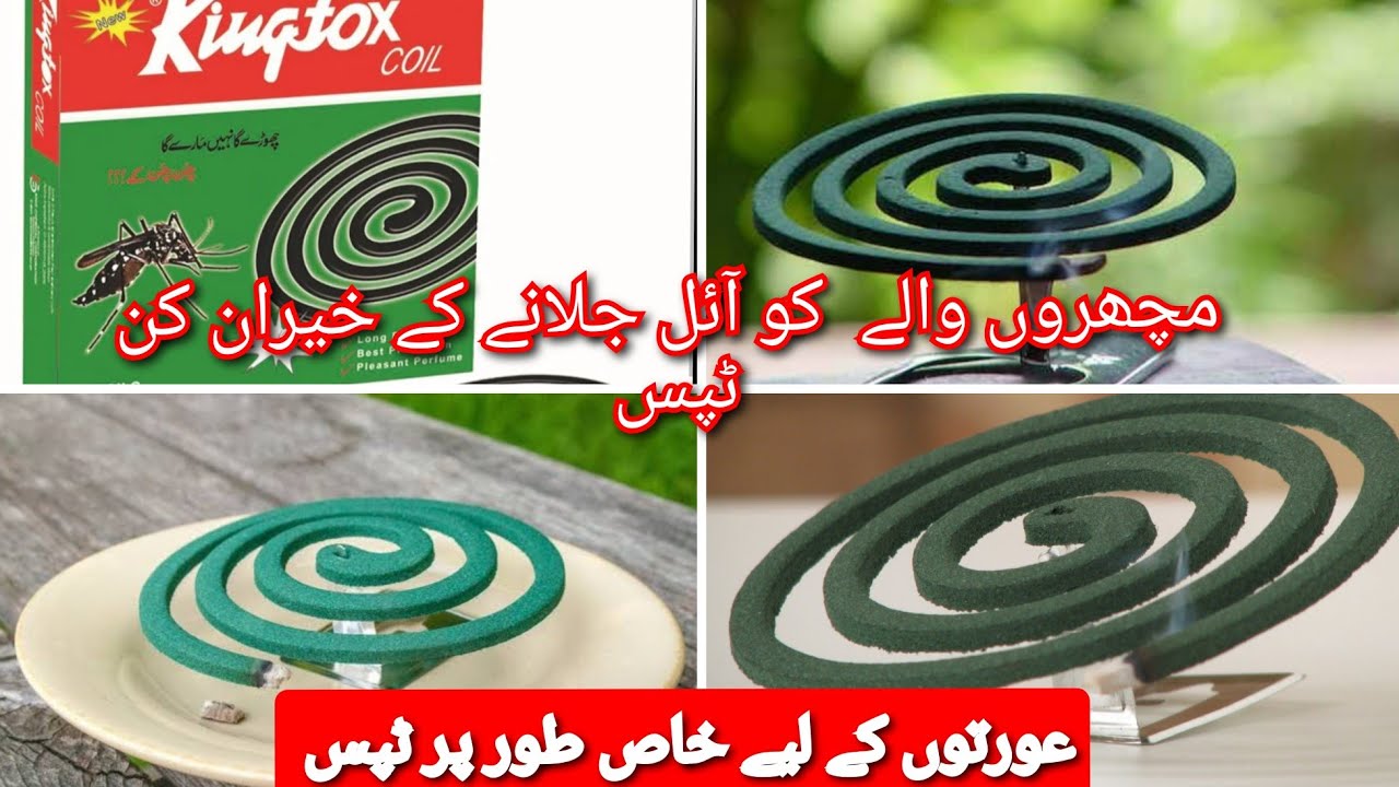 Mastering Mosquito Coils A Comprehensive Guide to Effective Usage and ...