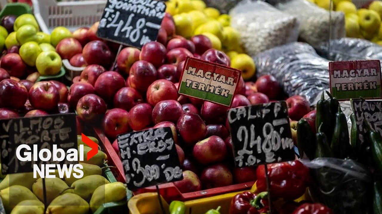 Weekly Grocery Bill Has Increased By Over 100 Say 1 In 5 Canadians Weekly Grocery Bill Has Increased By Over 100 Say 1 In 5 Canadians