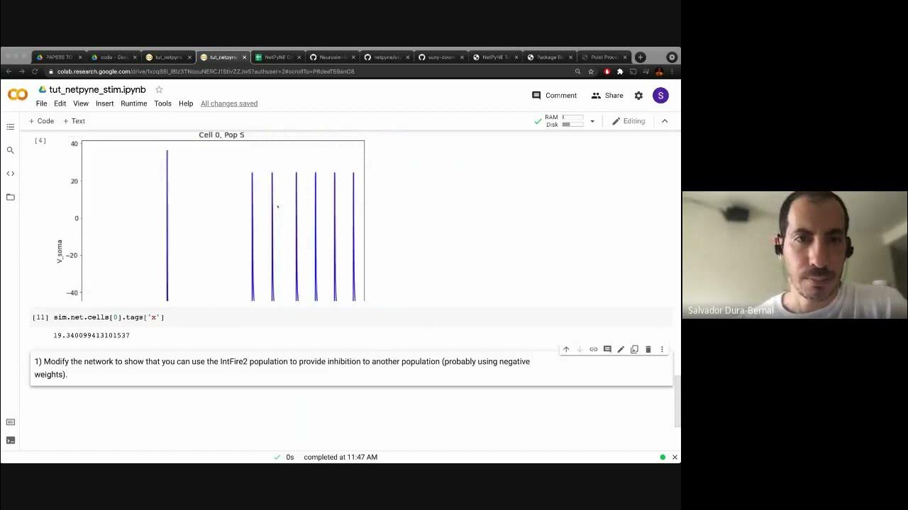 NetPyNE2021 17 NetPyNE tutorials 6&9 - YouTube