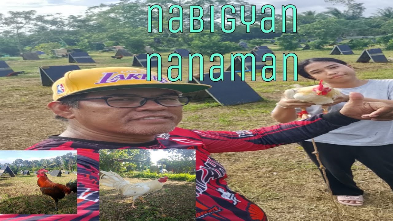 Marami na Akong manok - YouTube