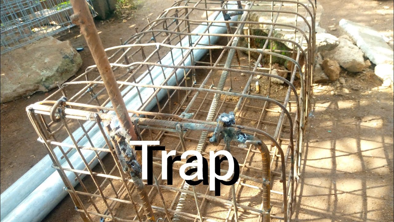 Rabbit, Alligator, Bush Rat and Grasscutter Trap - YouTube