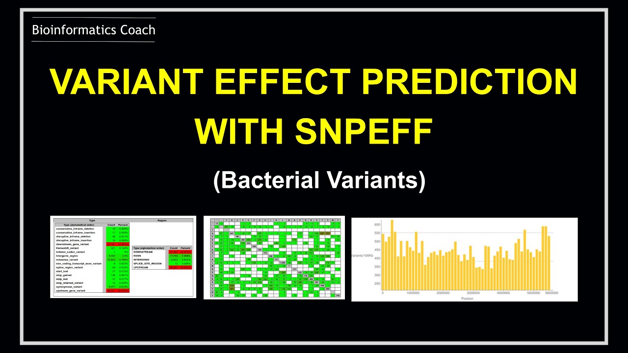 Variant Annotation And Effect Prediction With Snpeff Youtube