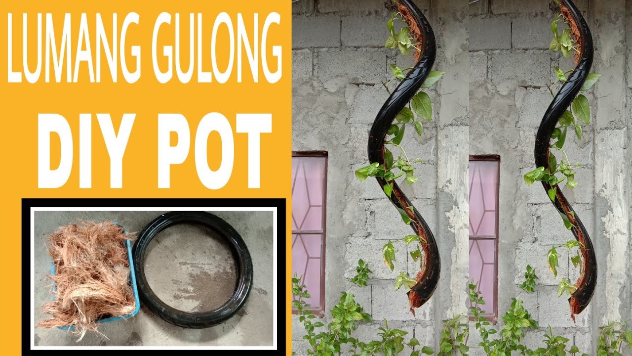 Lumang gulong Ng motor pwedeng pag taniman Ng Pothos plant. - YouTube