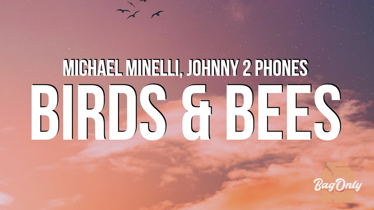 Michael Minelli & Johnny 2 Phones - Birds & Bees (Lyrics) - YouTube