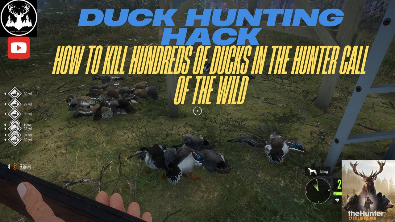 Duck Hunting Hack: How To Kill Hundreds of Ducks in Hunter Call of The ...