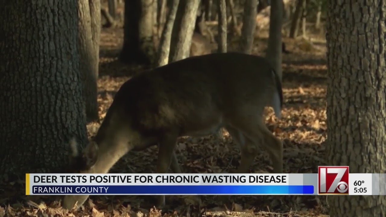 First case of chronic wasting disease documented in Franklin County ...