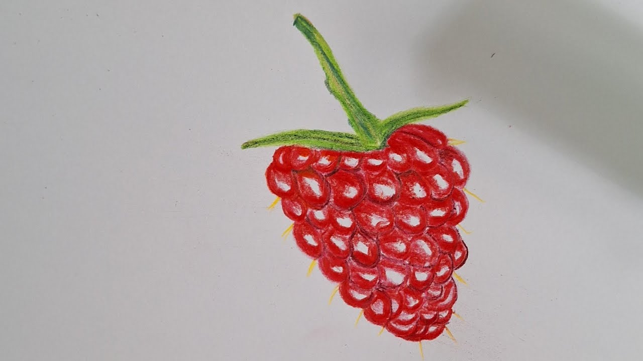 How to draw a realistic rasberry |drawing realistic drawing |easy ...