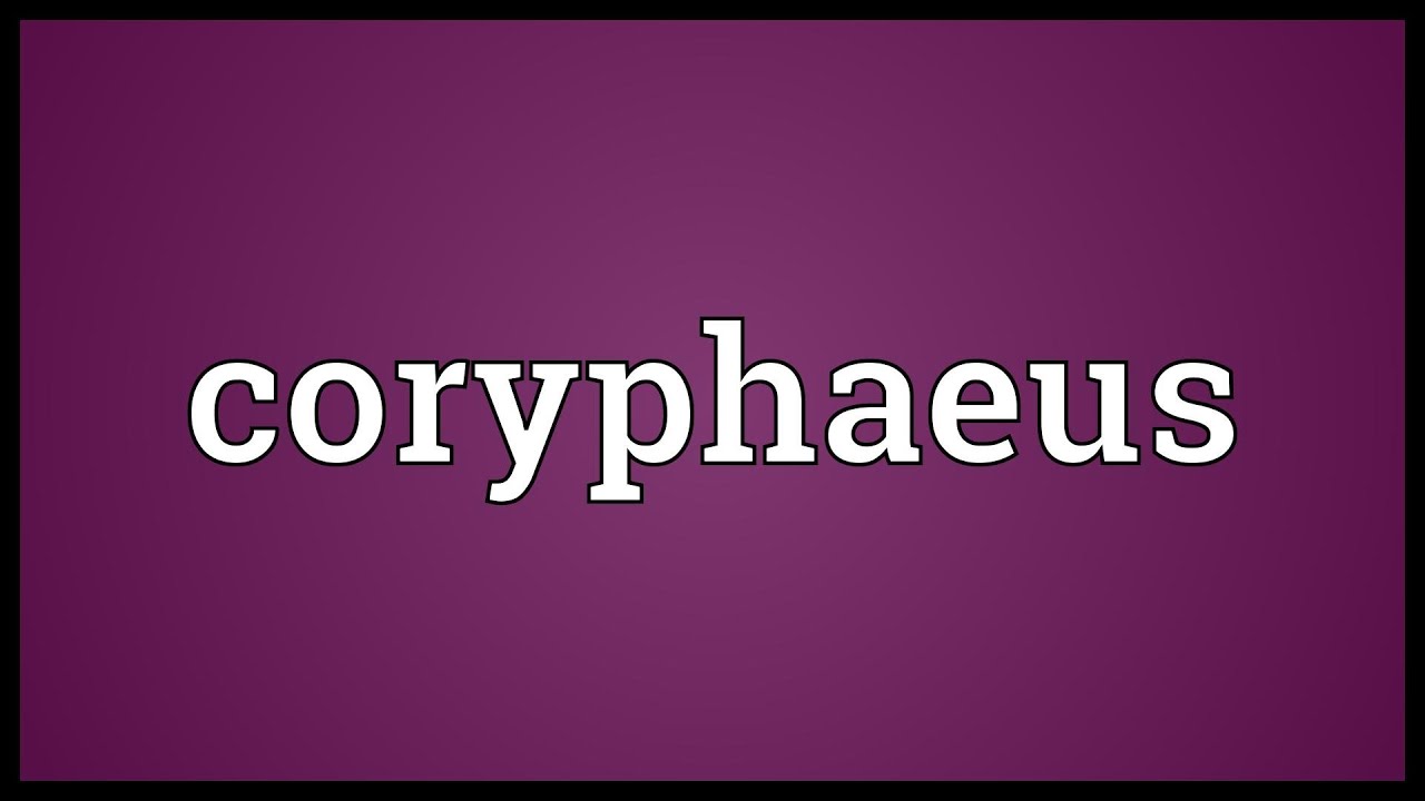 Coryphaeus Meaning - YouTube