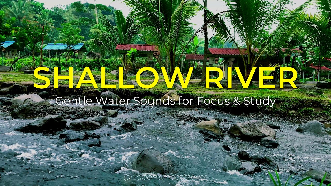 SHALLOW RIVER - Gentle Water Sounds for Focus & Study - YouTube