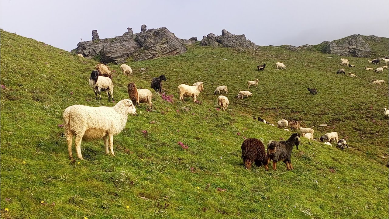 Neutral Mountain Village Life || And Very Beautiful View || Village ...