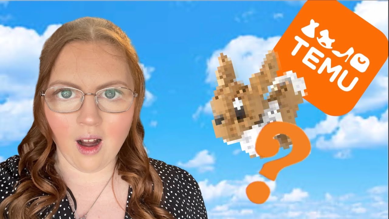 Temu’s Pokémon “Lego”! Is it good? (Review) - YouTube