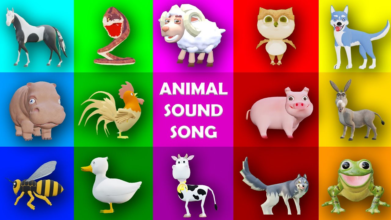 Silly Animal Sounds Song (Woof Woof Miaow Miaow!) SF | Edufam | Funny ...