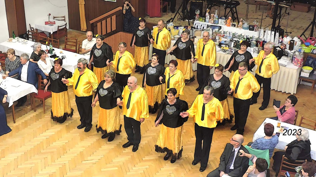 2024 PLES DŮCHODCŮ tanec DEN a NOC - YouTube