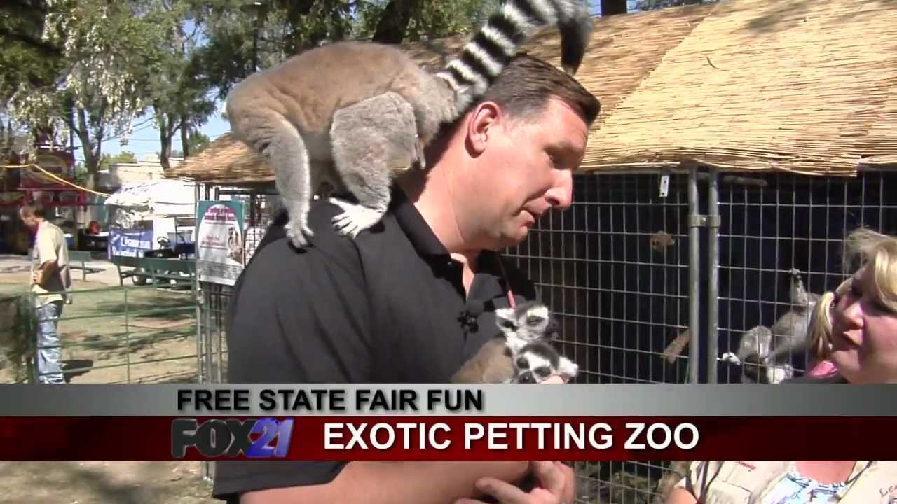State Fair Fun - Exotic Petting Zoo - YouTube