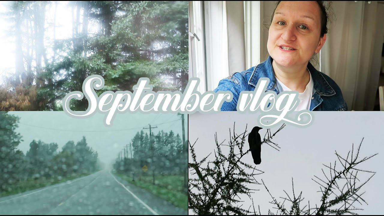 Dear September Thank you! Vlog - YouTube