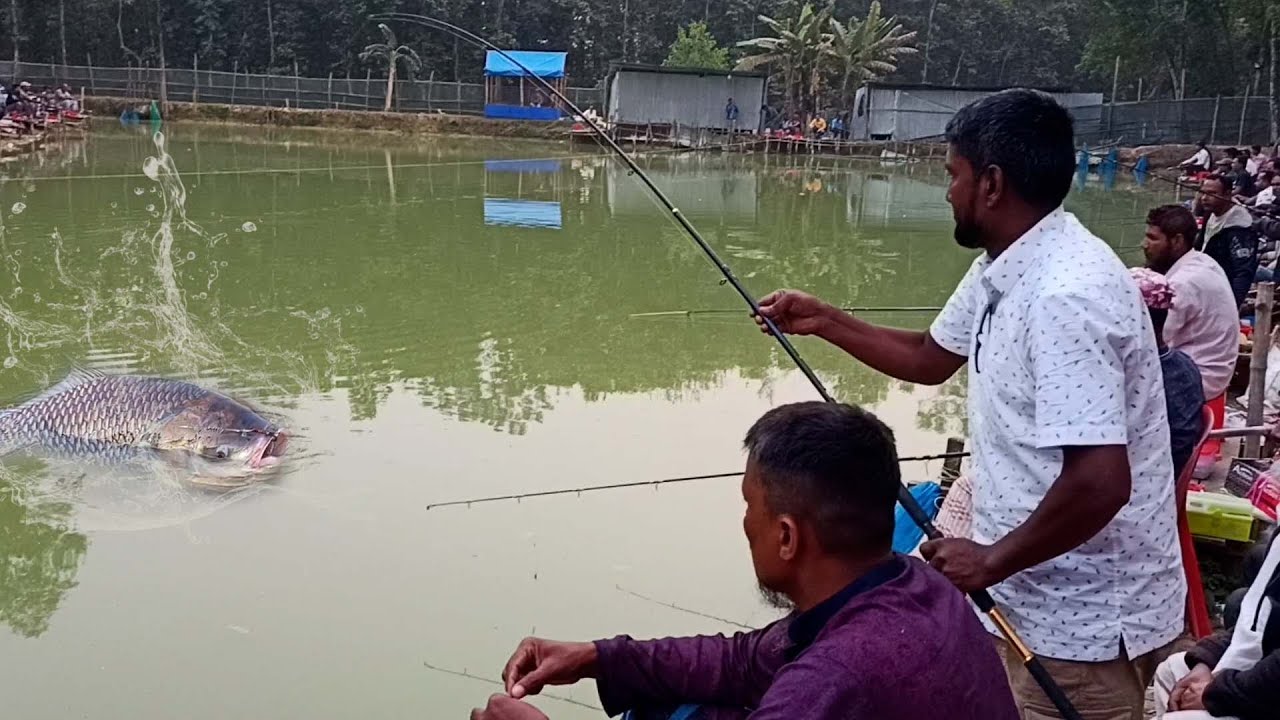 Big Viral Fish Caught | Big Viral Fish Catching | Big Catla Fishing ...