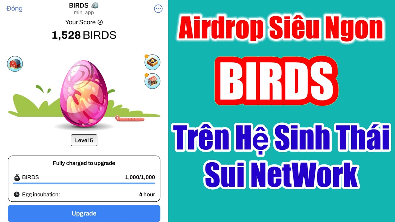 Airdrop Siêu Ngon Dự Án BIRDS Chain SUI NetWork | Được Chín Chủ SUI ...