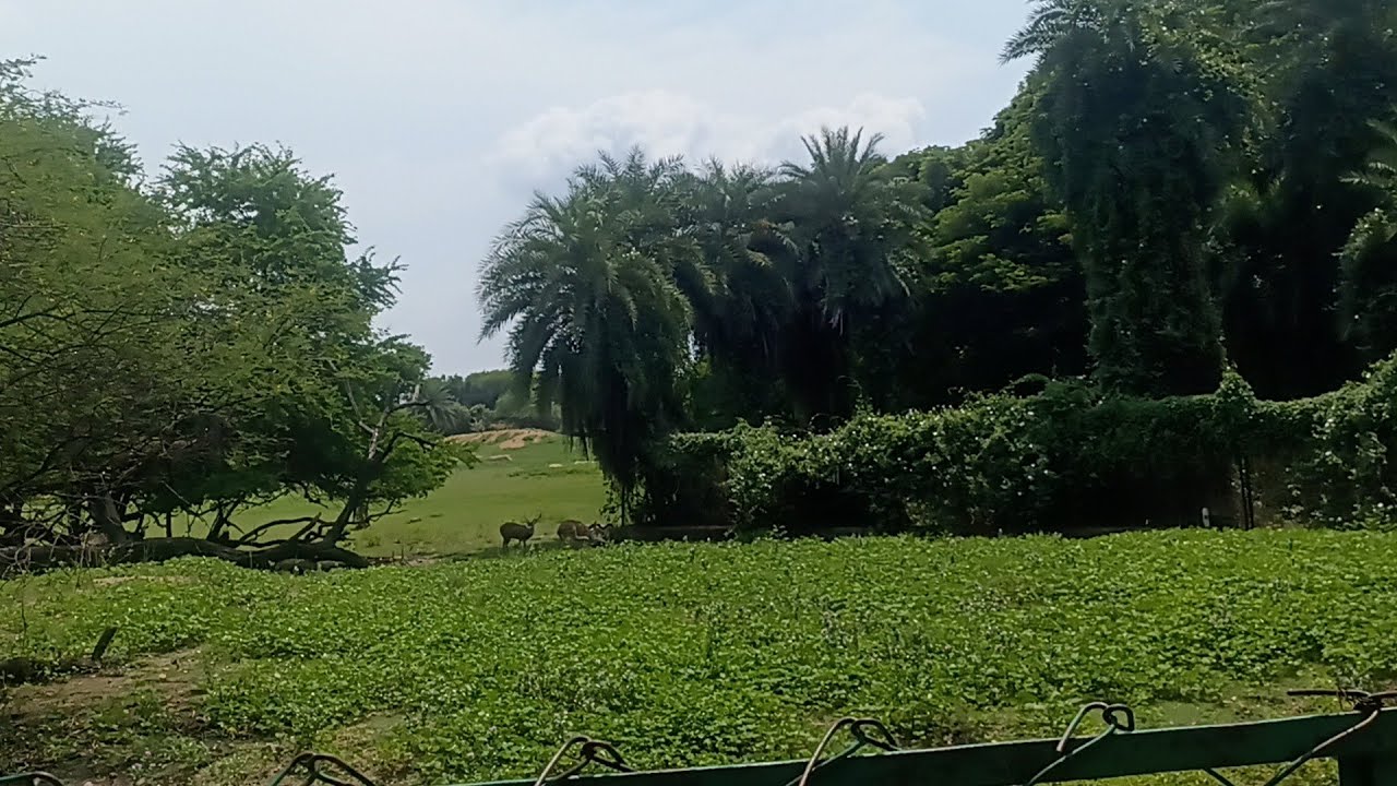 Highlight 31:39 – 36:39 from Vennela rama is live - YouTube