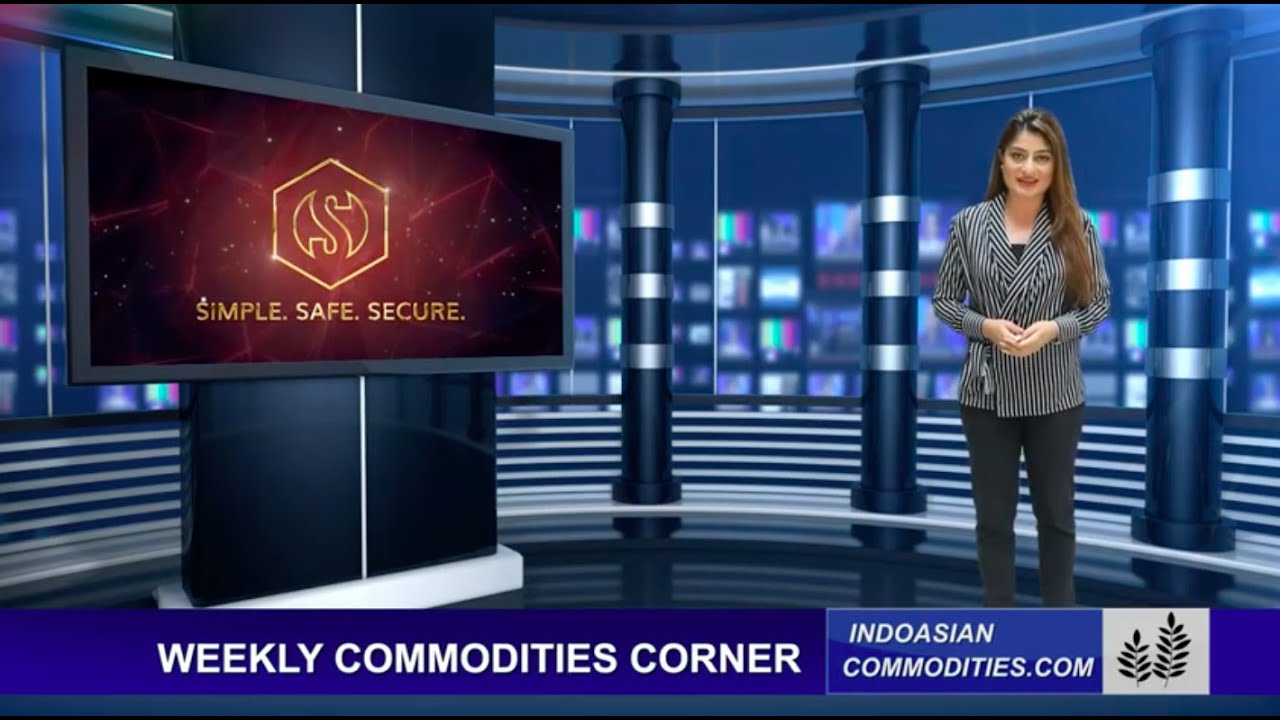 8th Nov Weekly Update - YouTube