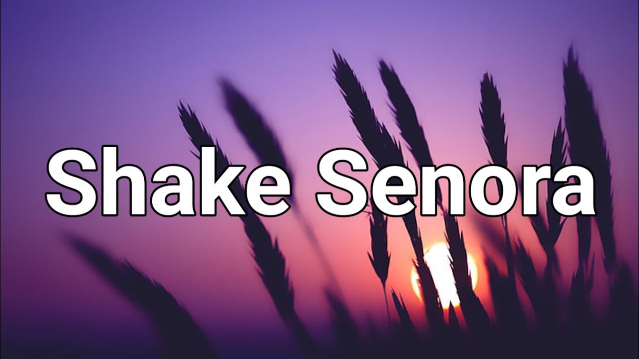 Pitbull - Shake Senora (Lyrics) ft T Pain, Sean Paul - YouTube